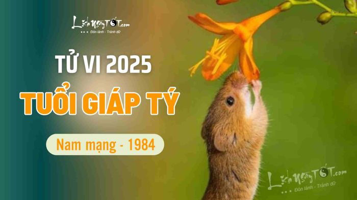 Tử vi năm 2025 cho người tuổi Giáp Tý 1984 nam mạng