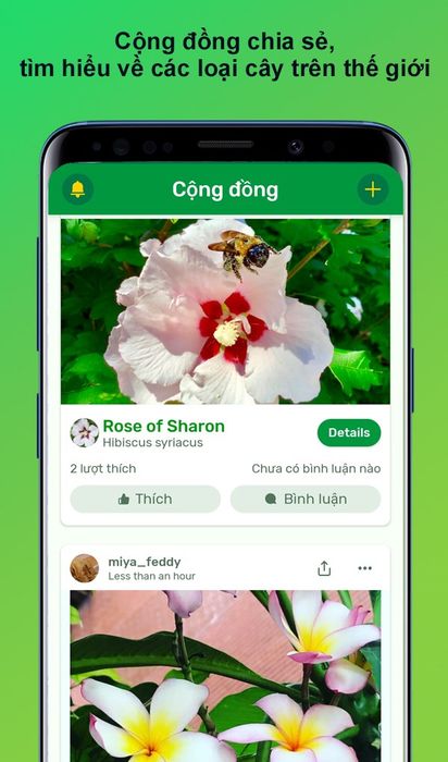 PlantSnap: Ứng dụng nhận diện cây, phân biệt loại hoa thông qua trí tuệ nhân tạo