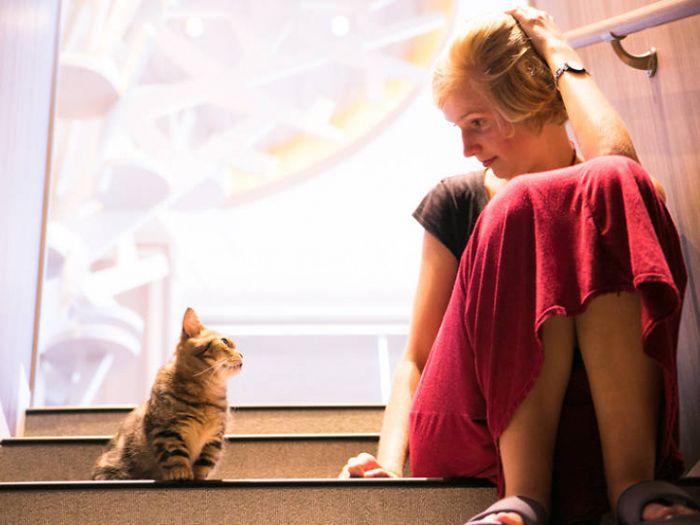 Top 10 quán cà phê thú cưng hàng đầu ở Tokyo - Mytour