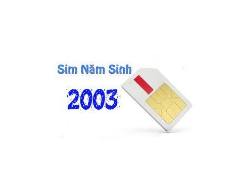 Cách chọn sim phù hợp cho người sinh năm 2003 Quý Mùi để đạt may mắn và ...