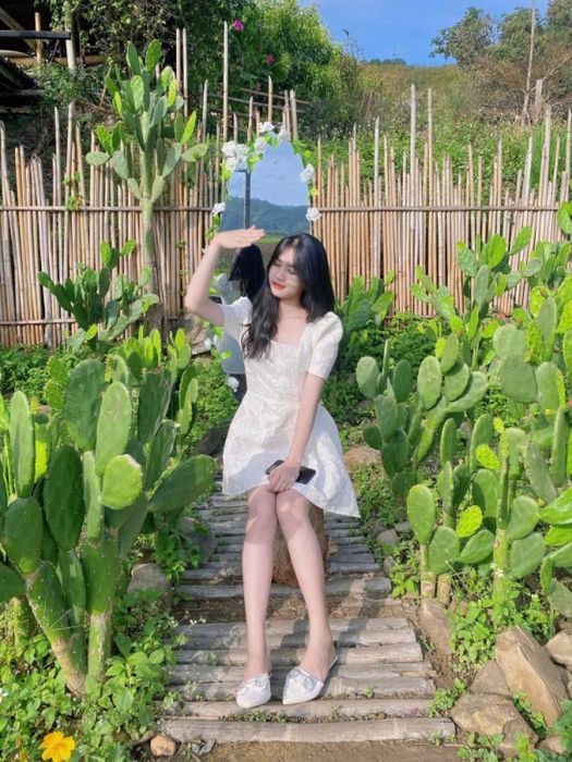 Cánh Đồng Hoa Đắk Nông: Bức tranh tuyệt vời hấp dẫn du khách