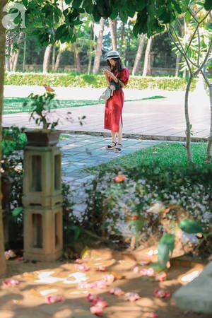 Khám phá Huế, đến thăm chùa Thiên Mụ có tuổi đời 400 năm và tận hưởng vẻ đẹp của hoa sala - biểu ...