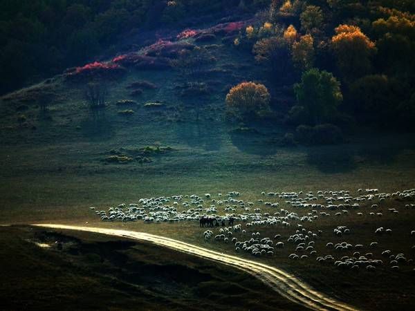 Khám phá vẻ đẹp của Thảo nguyên Bá Thượng trong mùa thu rực rỡ tại ...