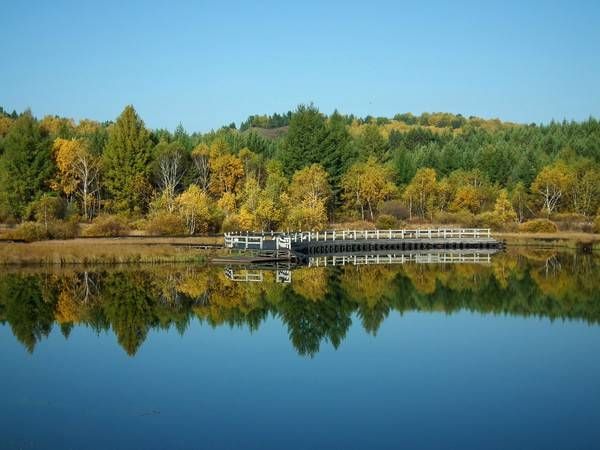 Khám phá vẻ đẹp của Thảo nguyên Bá Thượng trong mùa thu rực rỡ tại ...