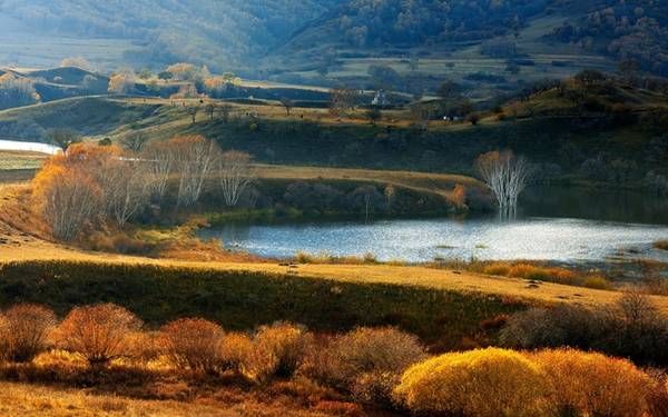 Khám phá vẻ đẹp của Thảo nguyên Bá Thượng trong mùa thu rực rỡ tại ...