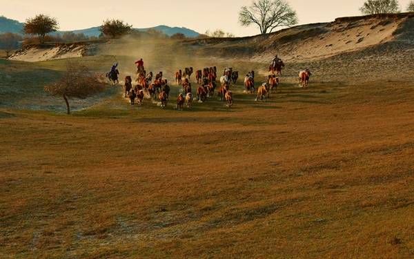 Khám phá vẻ đẹp của Thảo nguyên Bá Thượng trong mùa thu rực rỡ tại ...