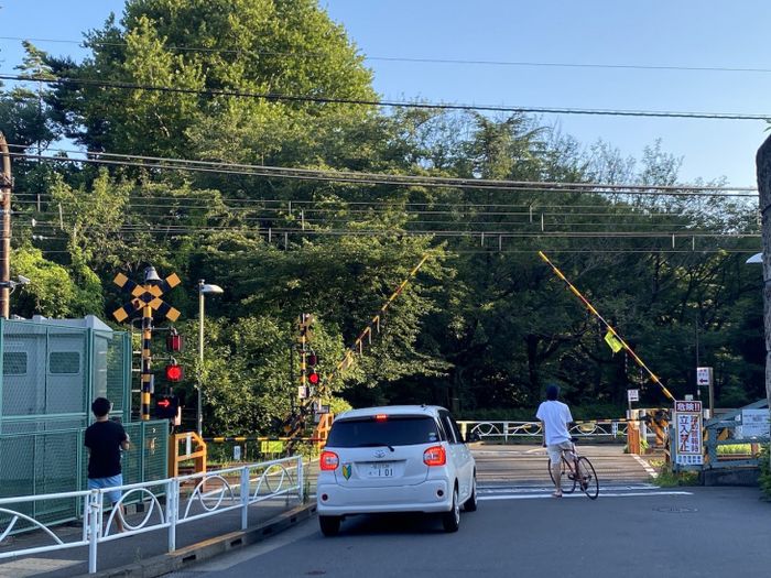 Khám phá công viên Komaba ở Tokyo: Nét đẹp văn hóa, kiến trúc lịch sử ...