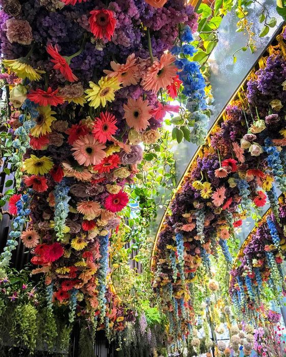 Khám phá không gian tuyệt vời của Floral Fantasy tại Gardens by the Bay ...