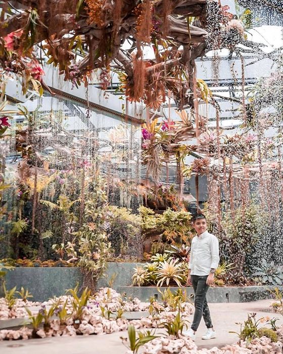 Khám phá không gian tuyệt vời của Floral Fantasy tại Gardens by the Bay ...