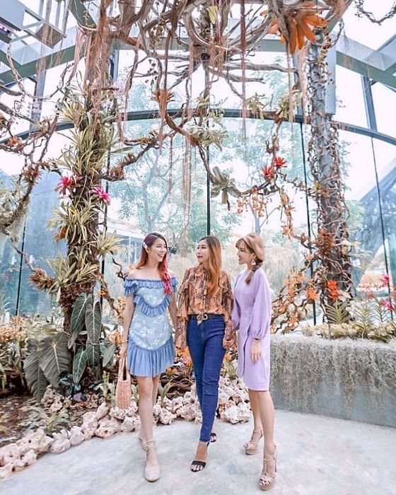 Khám phá không gian tuyệt vời của Floral Fantasy tại Gardens by the Bay ...