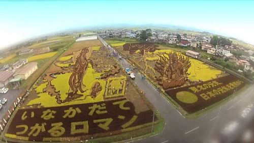 Đà Nẵng khám phá lại vẻ đẹp của nền văn minh lúa nước trong sự kiện độc ...