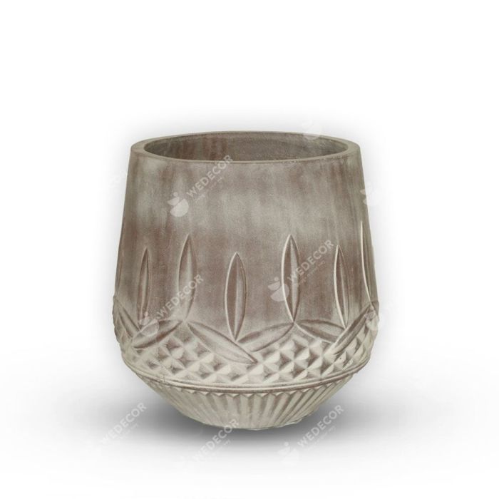 7 loại cây cảnh phổ biến dành cho người mới trồng - ALONGWALKER