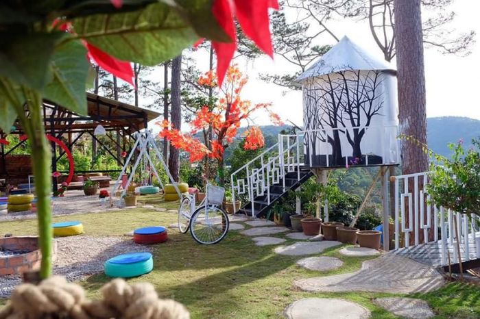 Top 16 Homestay giá dưới 900K, ngắm view 'sống ảo' đẹp tại Phường Lâm ...