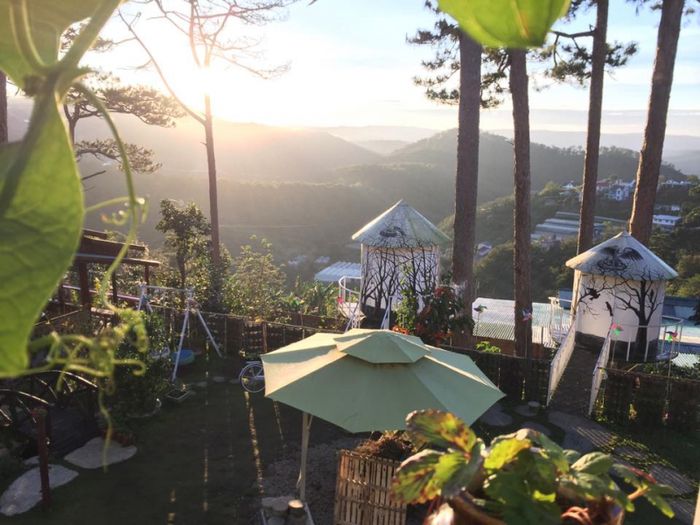 Top 16 Homestay giá dưới 900K, ngắm view 'sống ảo' đẹp tại Phường Lâm ...