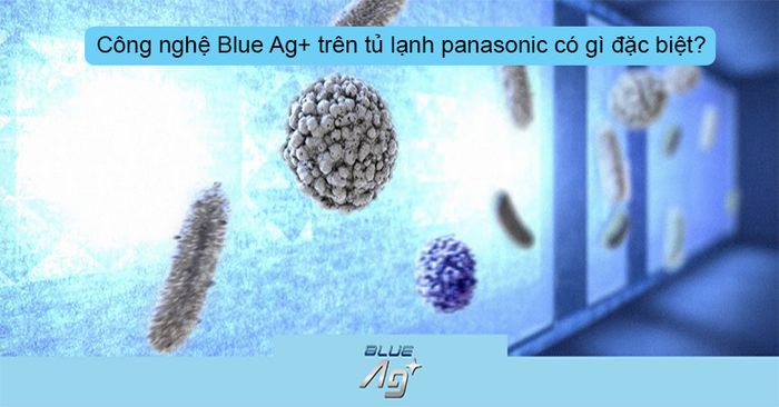 Tính Năng Nổi Bật: Blue Ag+ trên Tủ Lạnh Panasonic