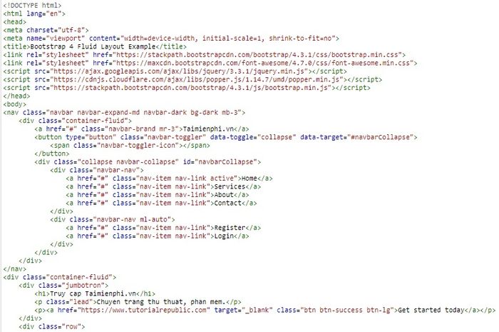 Bí quyết thiết kế Fluid Layout với Bootstrap, cấu trúc và ví dụ thực tế
