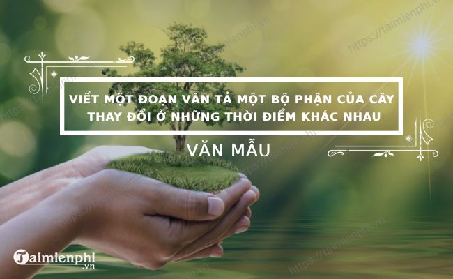 Viết một đoạn văn Mô tả sự biến đổi của một phần của cây theo thời gian ...