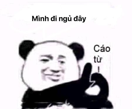 Bức tranh meme dễ thương, hài hước, với những hình ảnh mèo chế khó cưỡng
