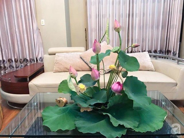 Khám phá vẻ đẹp của hoa sen trong những tác phẩm nghệ thuật tinh tế nhất