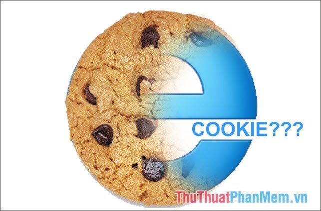 Unlocking the Cookie Chronicles: What Are They, Their Purpose, and ...