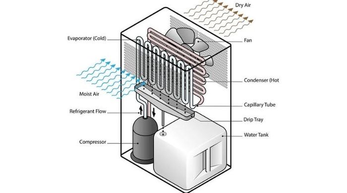 All About Air Dehumidifiers: Structure, Operational Principles, and ...