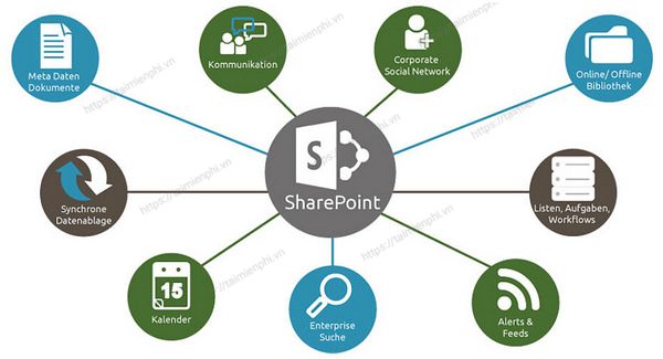 Understanding SharePoint: What is it? What is SharePoint programming?