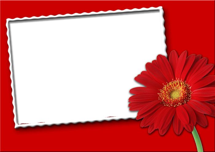 Discover the Finest Frame Collection