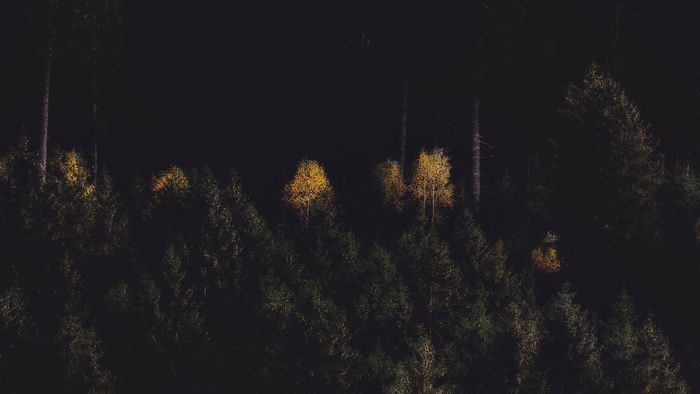 Discover Beautiful Windows 10 Wallpapers, The Finest Selection