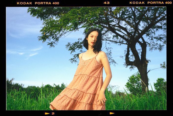 Top 10 Beloved Photos on aphoto in May 2023 - ALONGWALKER