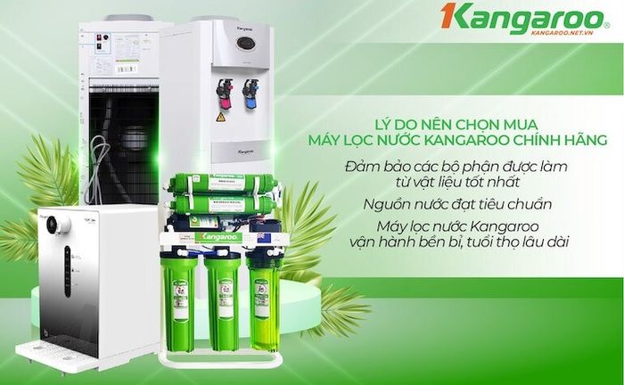 Why Choose Genuine Kangaroo Water Filters?