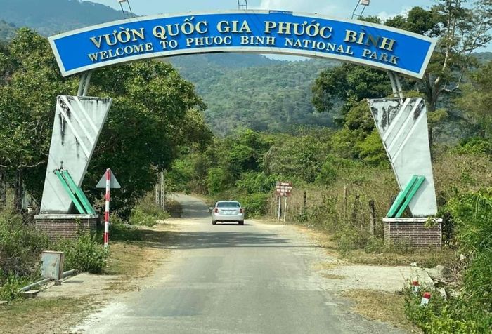 Exploring Phuoc Binh National Park - Ninh Thuan's Giant Air-Conditioner
