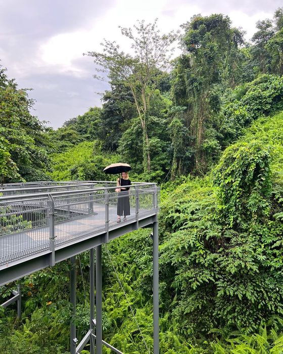 Experience the Fresh Nature atop Mount Faber, Singapore - Mytour