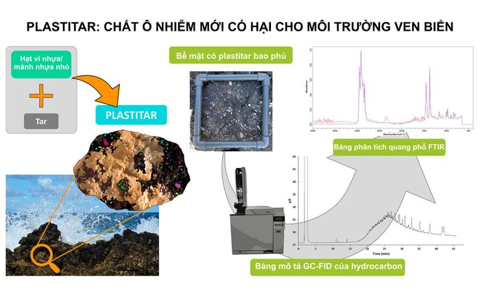 Plastitar - Mối Đe Dọa Môi Trường Tích Tụ từ Hắc Ín và Nhựa Biển | Viết ...