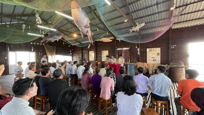 Transforming a fish pond into a 3D model tourist attraction in Can Tho ...