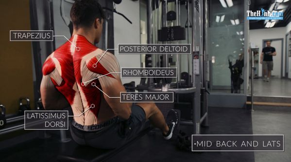 Top Effective Back Exercises for Men with Proven Techniques