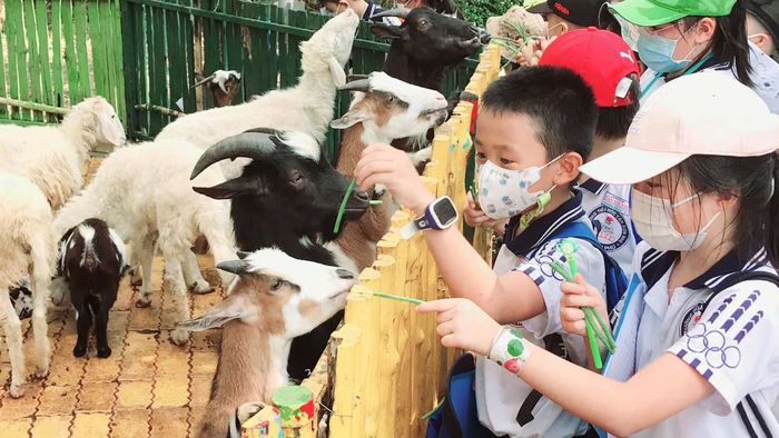 Experience the Delight of Đầm Sen Khô - A Verdant Oasis in the Heart of ...