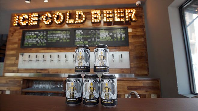 Khám phá bí ẩn của cơn sốt bia “Ong Sát Thủ” Melvin Killer Bees khiến ...