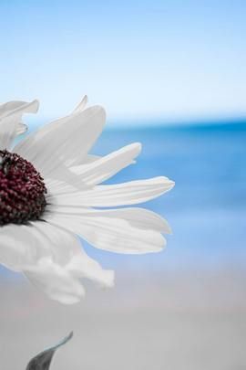 Beautiful lock screen wallpapers for iPhone and Android devices