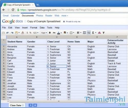 Mastering Pivot Tables in Google Docs for Data Analysis