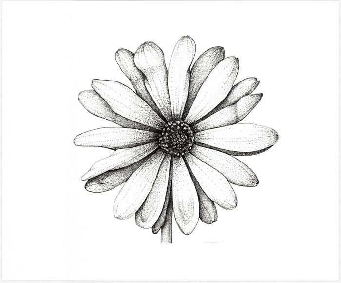 Stunning Images of Xuyen Chi Flowers - Compilation of the Most ...