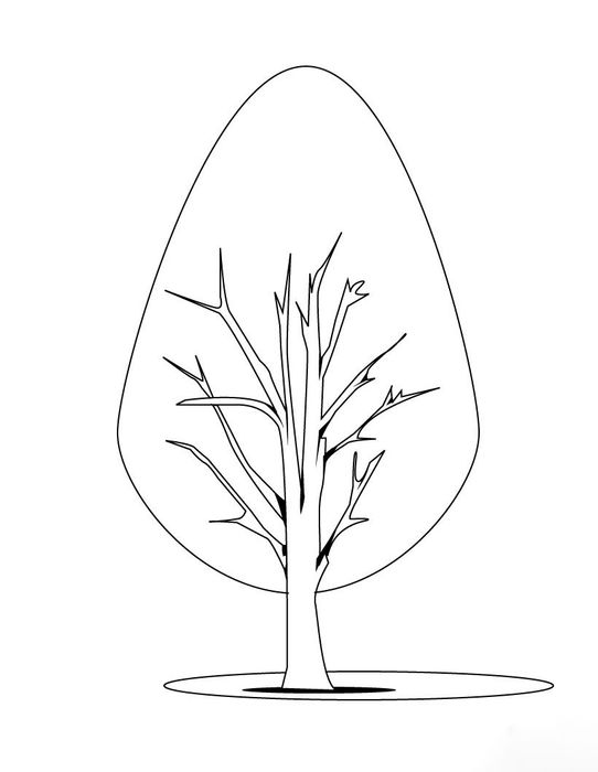 Coloring a Green Tree for Kids