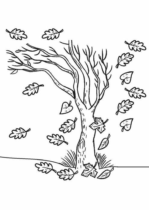 Coloring a Green Tree for Kids