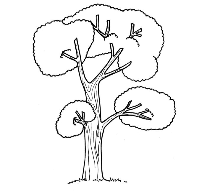 Coloring a Green Tree for Kids