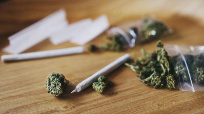Top 10 Common Misconceptions About the Harmful Effects of Cannabis - Mytour.vn