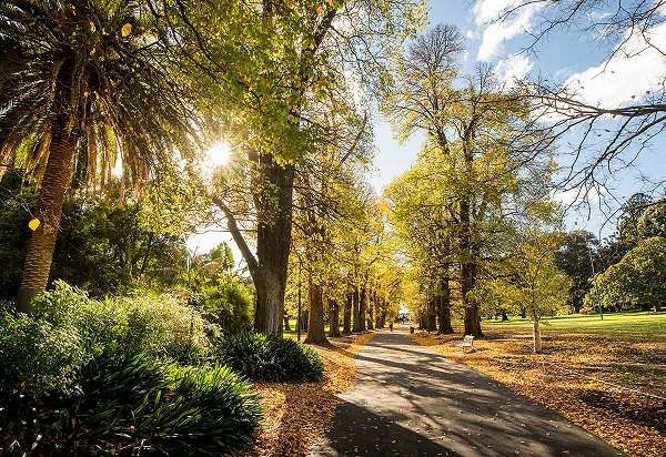 Have you experienced the breathtaking spring in Melbourne (Australia)?