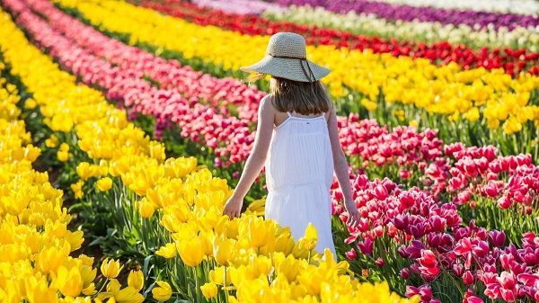 Have you experienced the breathtaking spring in Melbourne (Australia)?