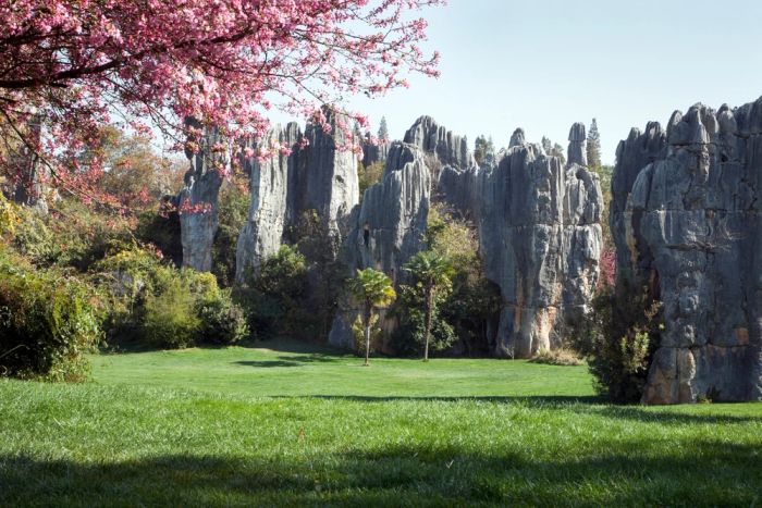 Updated Guide to Spring Travel in China