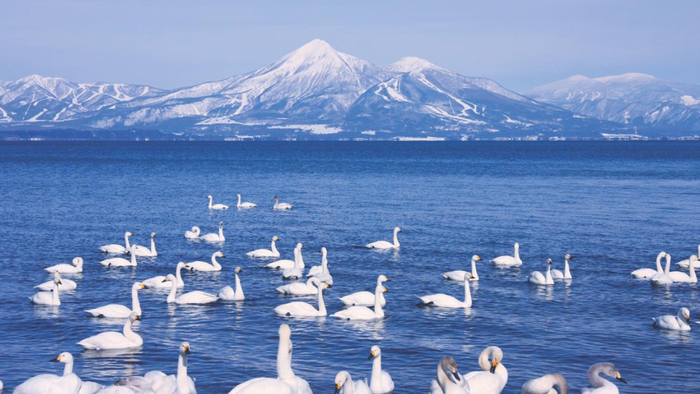 Explore Japan's beauty by visiting the top 9 stunning destinations in ...