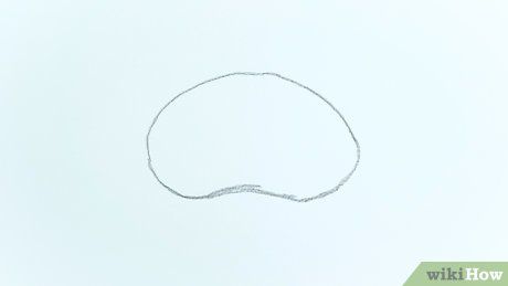 How to Draw the Brain – Mytour