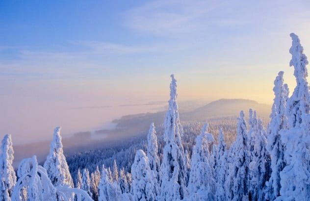 10 Unique Earth Biomes You Should Know About - Mytour